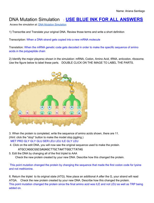 Dna Mutation Simulation Answer Key Pdf