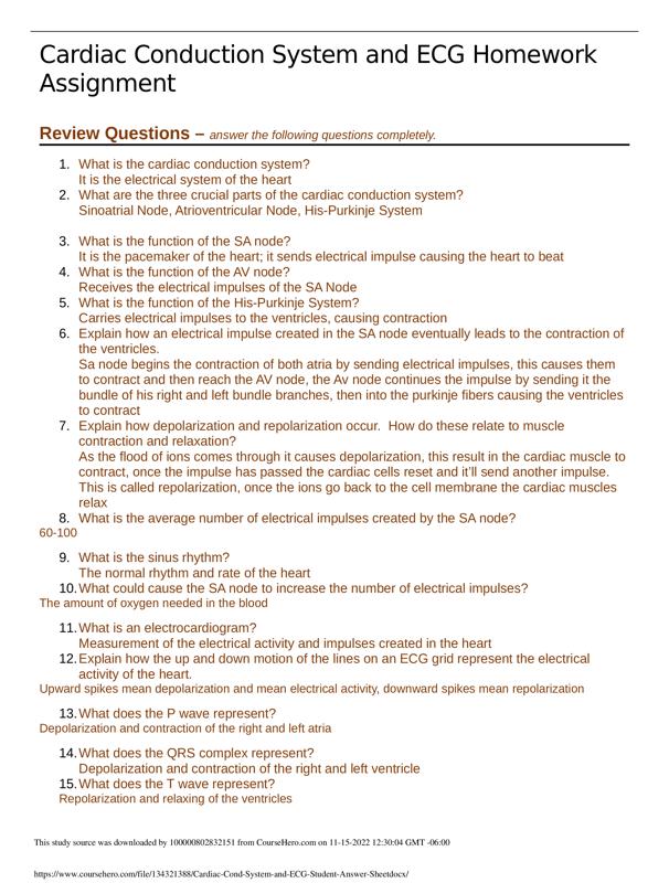 Cardiac Conduction System And ECG Homework Assignment